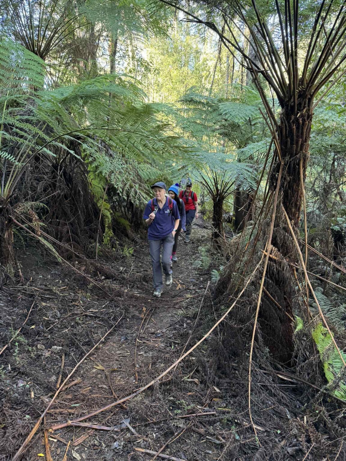 Simmons Reef (Blackwood) - Take Shape Adventures